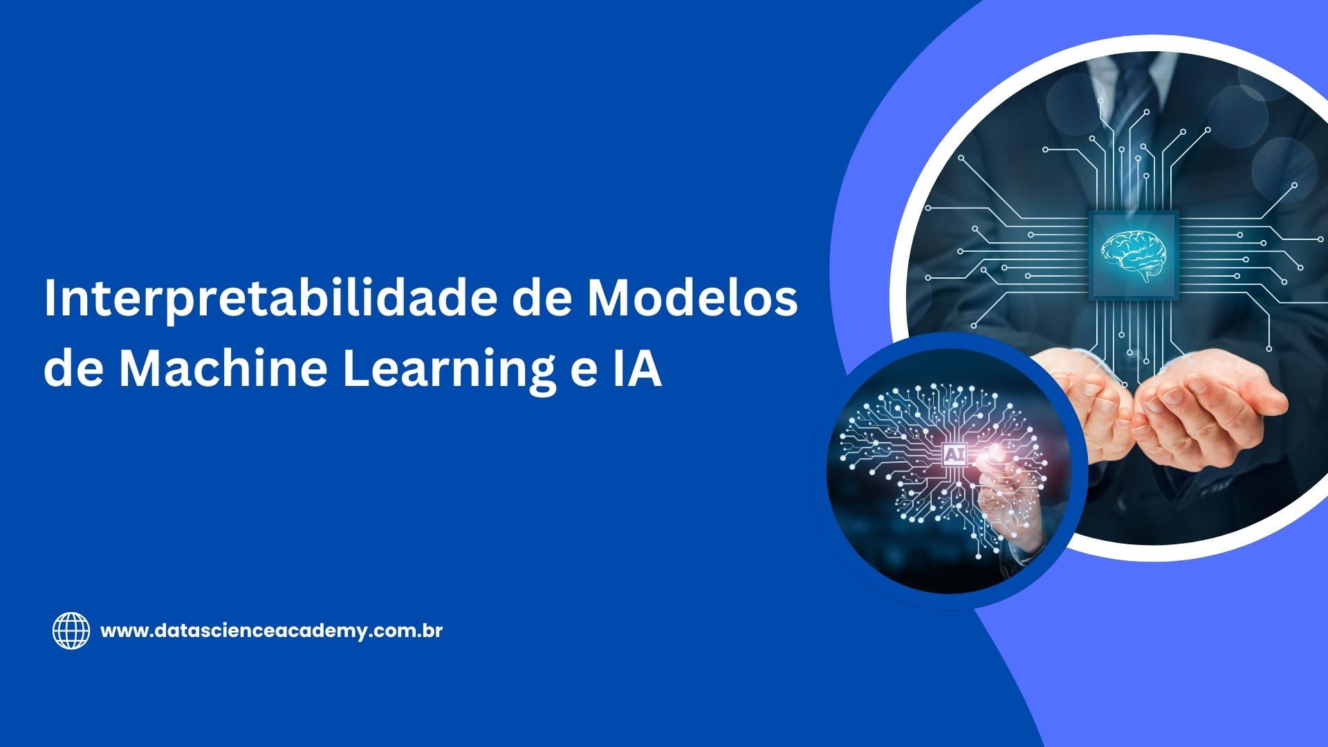 Interpretabilidade de Modelos de Machine Learning e IA - Data Science ...
